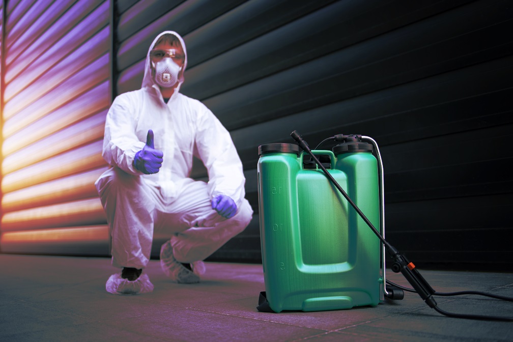 Tips for Finding Exterminators Near You - Raccoon Removal